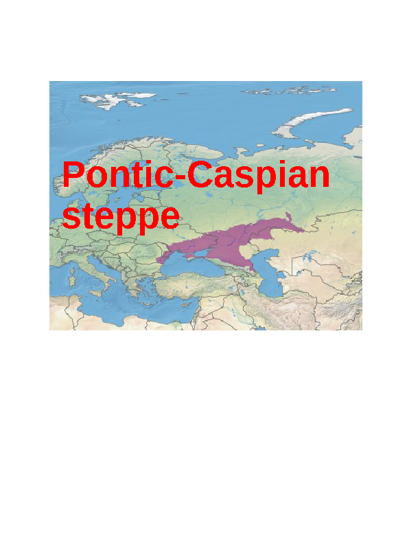 The Pontic–Caspian steppe is a steppe extending across eastern Europe ...