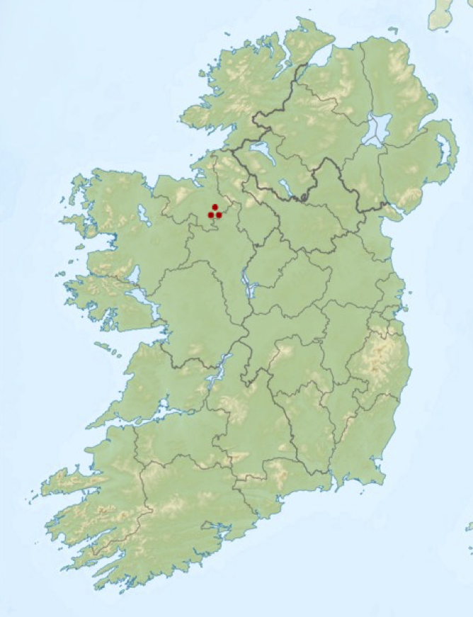 Carrowkeel is a major neolithic passage tomb complex located in the ...