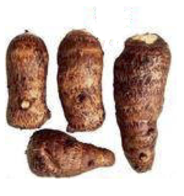 Taro, or colocasia esculenta domestication was ancient. It occurred in ...